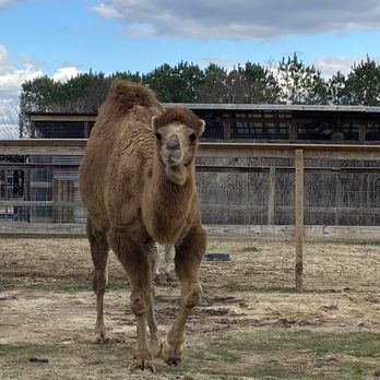 IT’S A ZOO LIFE - Updated December 2025 - 133 Photos & 15 Reviews ...