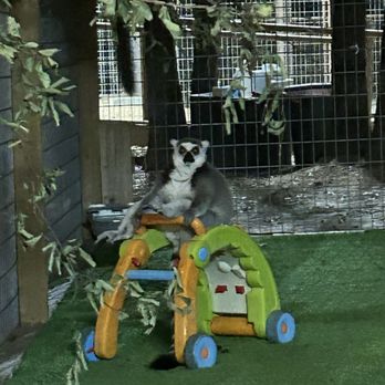 OAK MEADOW RANCH FEATURING THE WHITEHORSE STEAKHOUSE - Updated January ...