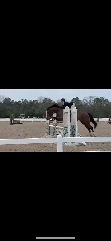 HARRISON COUNTY FAIRGROUNDS - Updated January 2025 - 15321 County Farm ...