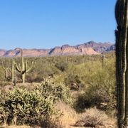 USERY MOUNTAIN REGIONAL PARK - 234 Photos & 88 Reviews - 3939 N Usery ...