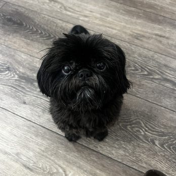 REED ANIMAL HOSPITAL - Updated November 2024 - 91 Photos & 334 Reviews ...