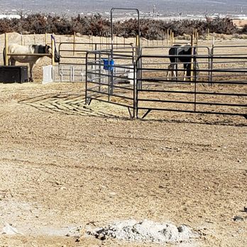 KYLE CANYON RANCH - Updated December 2025 - 82 Photos & 13 Reviews ...