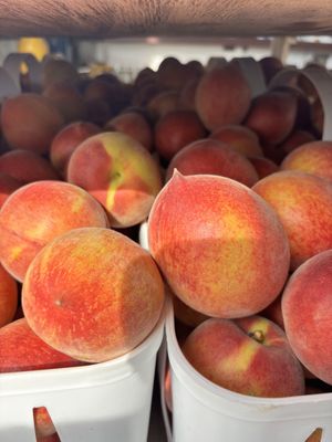 THE BIG RED APPLE SHED - Updated June 2026 - 19 Photos - 594 TN-126 ...