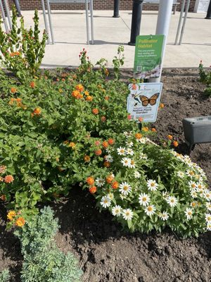 VALLEY RANCH LIBRARY - Updated December 2025 - 21 Photos & 30 Reviews ...