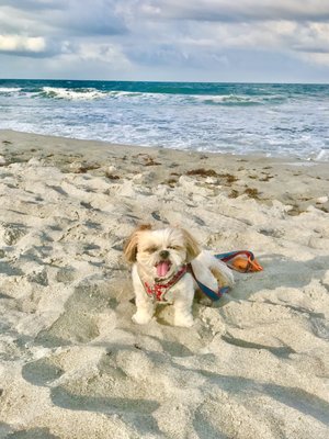 ROBERT P MURKSHE MEMORIAL PARK - Updated December 2025 - 15 Photos ...