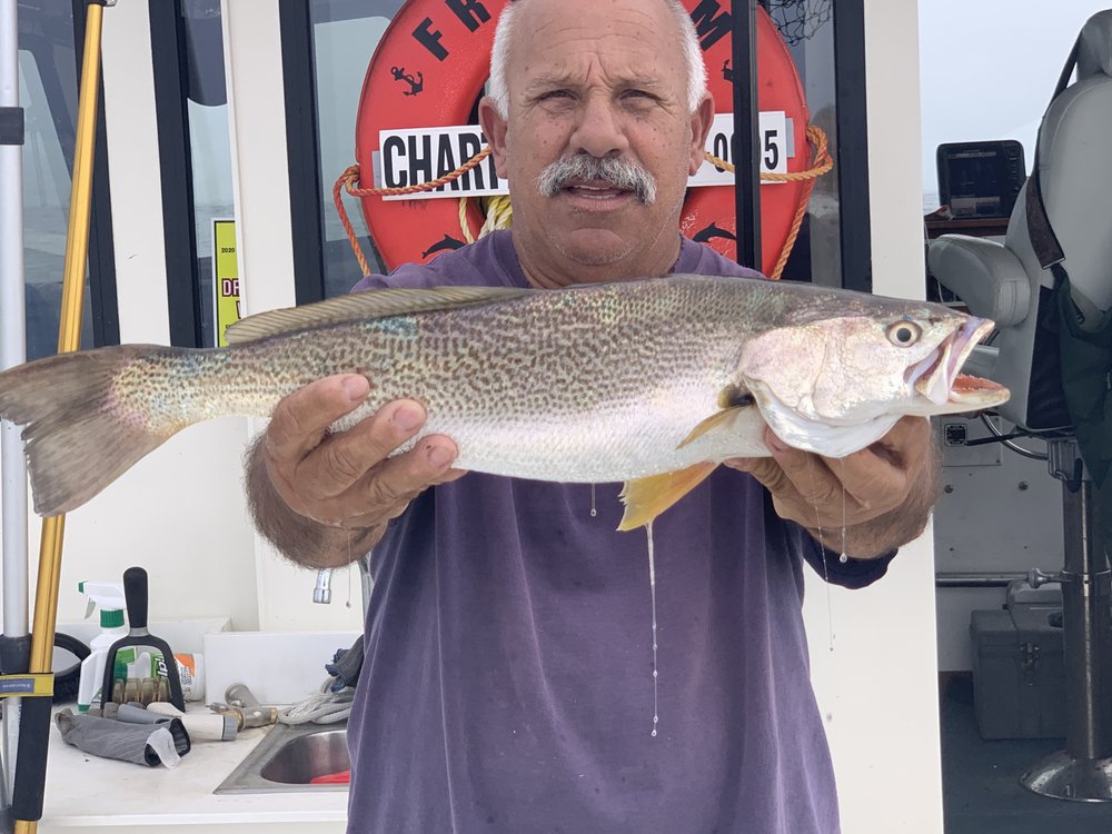 FREEDOM FISHING CHARTERS - Updated May 2025 - 82 Fort Salonga Rd ...