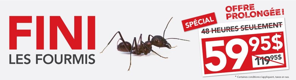 INSECTES PRO - Updated April 2024 - Request a Quote - 2370 Rue Fernand ...