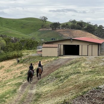 KELLY MADDOX TRAINING - Updated December 2025 - 34 Photos & 19 Reviews - 7191 Johnston Rd ...