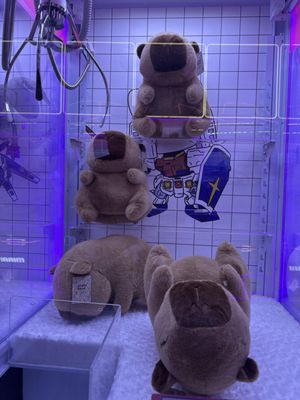 MIRAI ARCADE - Updated July 2025 - 71 Photos & 34 Reviews - 441 N ...