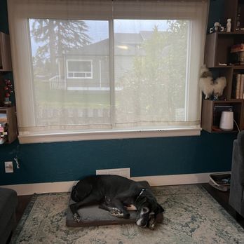 BRIGHTSIDE WINDOWS - Updated August 2025 - 25 Photos & 16 Reviews ...