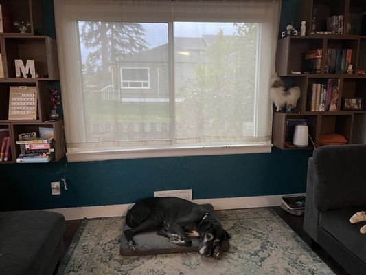 BRIGHTSIDE WINDOWS - Updated December 2025 - 30 Photos & 22 Reviews ...