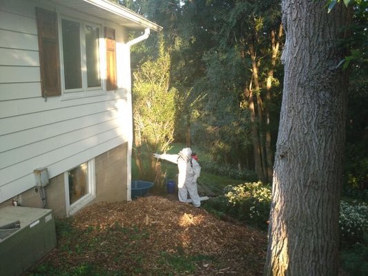 SCOTT’S PEST SOLUTIONS - Updated January 2026 - 12 Photos & 20 Reviews ...