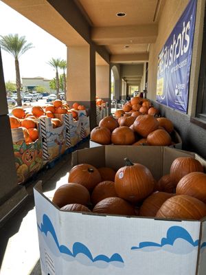 ALBERTSONS - Updated October 2025 - 55 Photos & 107 Reviews - 2910 ...