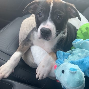 MAMCO - Updated January 2026 - 68 Photos & 18 Reviews - Englewood ...