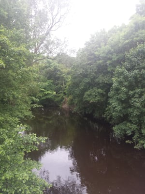 THE RIVER DODDER - Dublin, Dublin, Republic of Ireland - Yelp