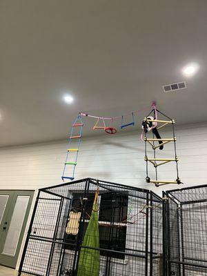 FUNKY MONKEY RANCH - Updated October 2025 - 52 Photos - 4965 Oak Grove ...