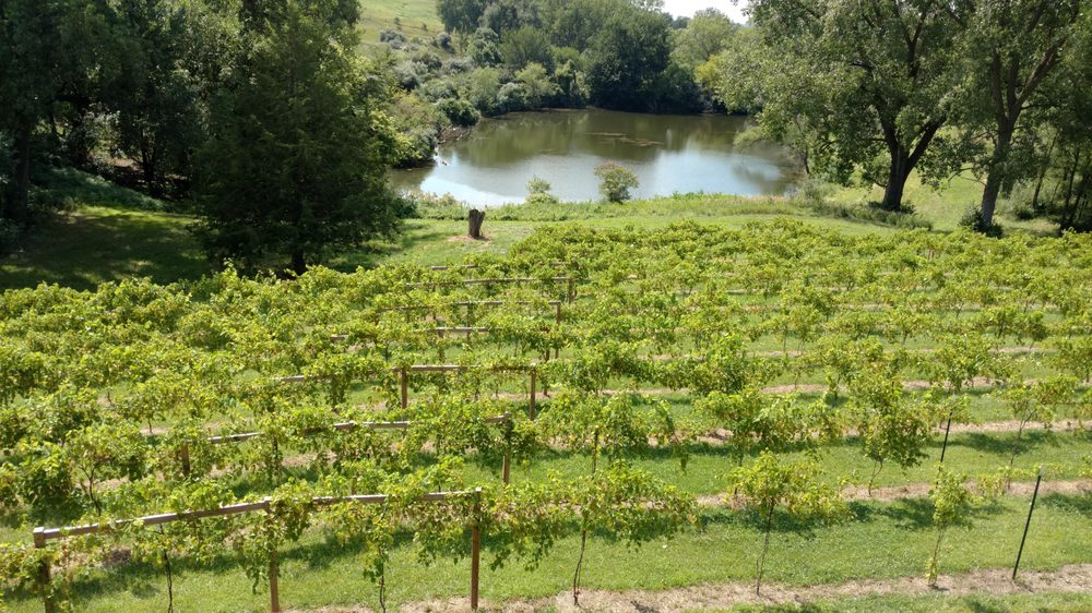 OSCAR CARL VINEYARD - Updated March 2025 - 12 Reviews - 1473 Buchanan ...