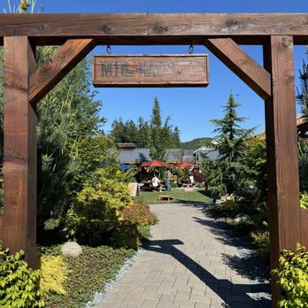 MILL HAUS CIDER - Updated March 2025 - 201 Photos & 134 Reviews - 303 ...