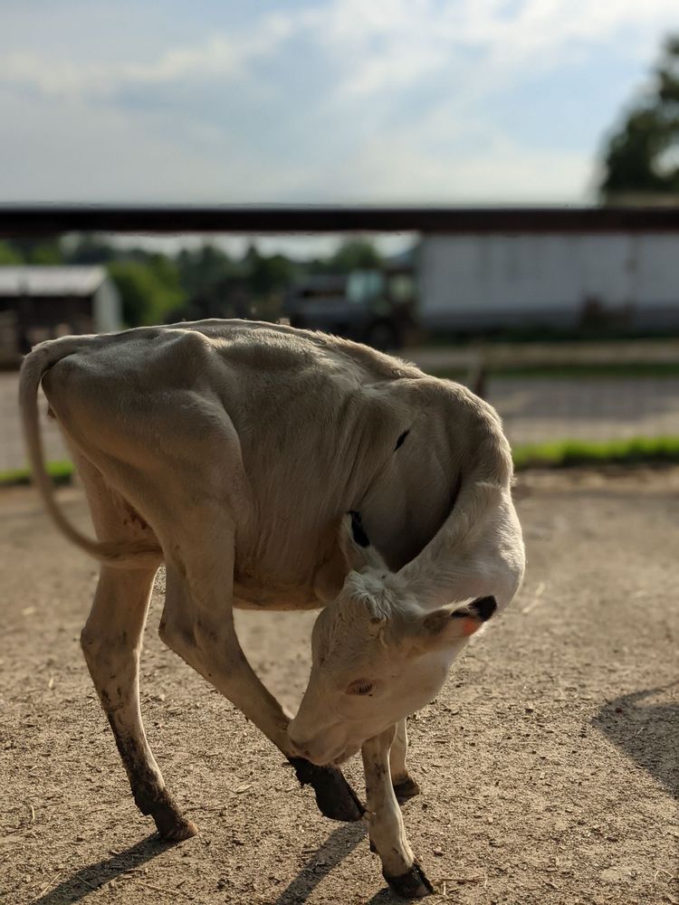 MCCRAY’S FARM AND COUNTRY CREAMERY - 39 Photos & 42 Reviews - 55 Alvord ...