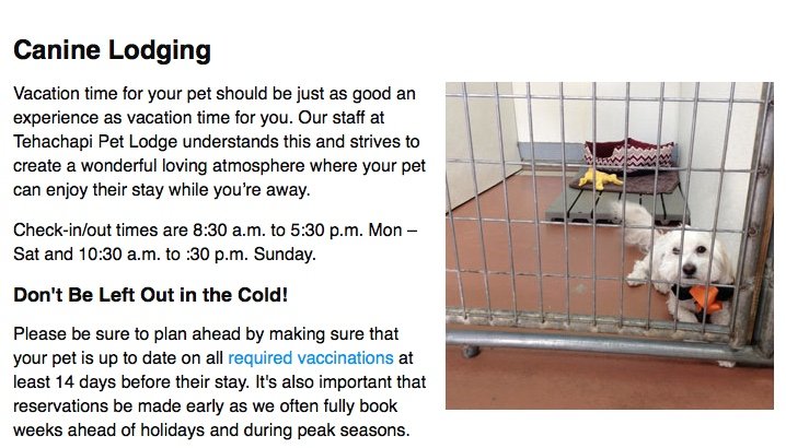 TEHACHAPI PET LODGE & OUTFITTERS - Updated October 2025 - 48 Photos & 21 Reviews - 20693 ...