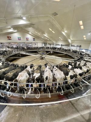 FAIR OAKS FARMS - Updated December 2025 - 708 Photos & 251 Reviews ...