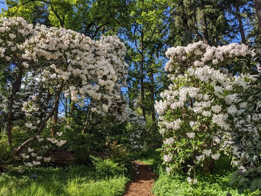 HENDRICKS PARK - Updated September 2025 - 116 Photos & 37 Reviews ...