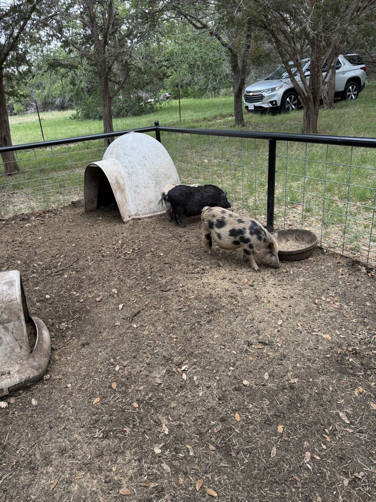 WINDING BRANCH RANCH - Updated October 2025 - 13 Photos - 30640 Leroy ...