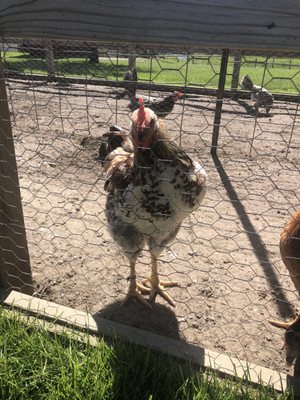 HISTORIC WAGNER FARM - Updated 2024 - 153 Photos & 67 Reviews - 1510 ...