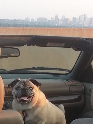 NKC HEALTH - Updated October 2025 - 22 Photos & 103 Reviews - 2800 Clay ...