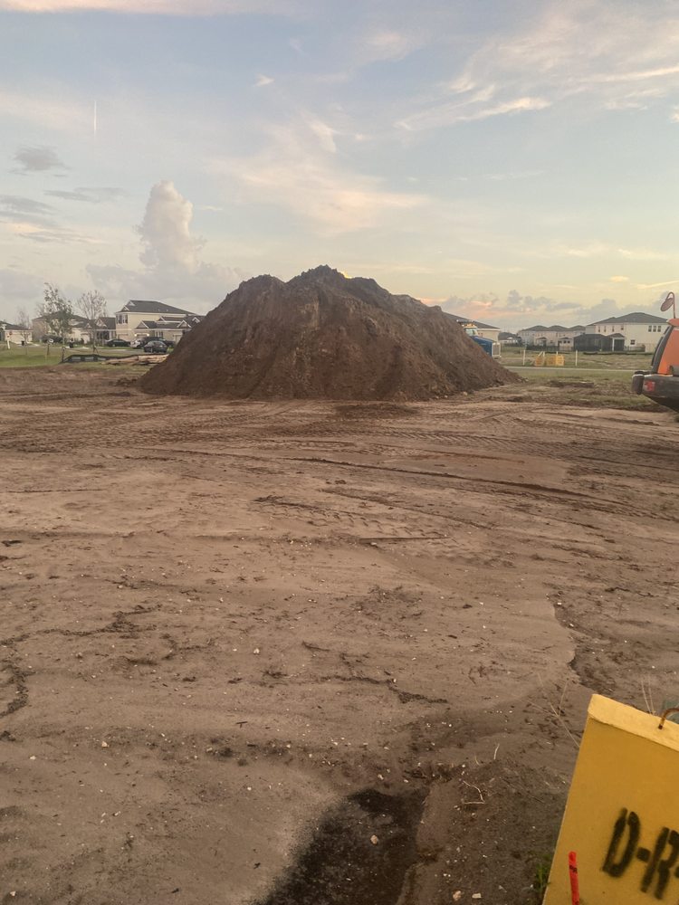 DDH HUMPING & DUMPING - Updated April 2025 - Sarasota, Florida ...