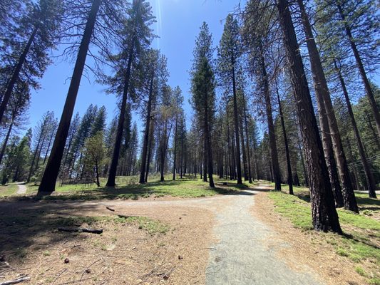 CEDAR PARK TRAIL - Updated December 2025 - 5568 Sly Park Rd, Pollock ...