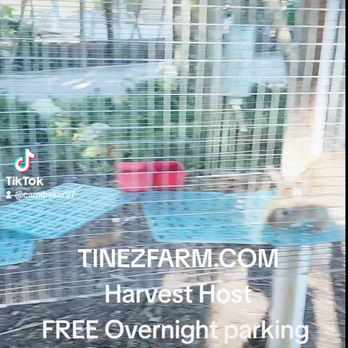 TINEZ FARMS - 309 Photos & 50 Reviews - 16405 SW 177th Ave, Miami ...