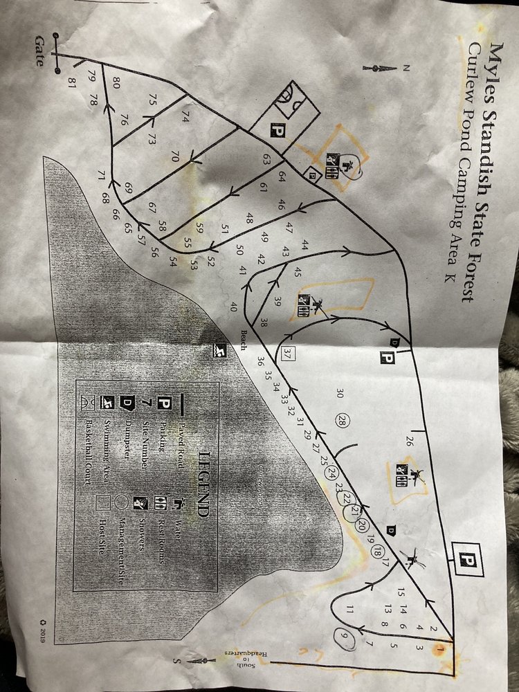 MYLES STANDISH STATE FOREST - Updated July 2025 - 45 Photos & 46 ...