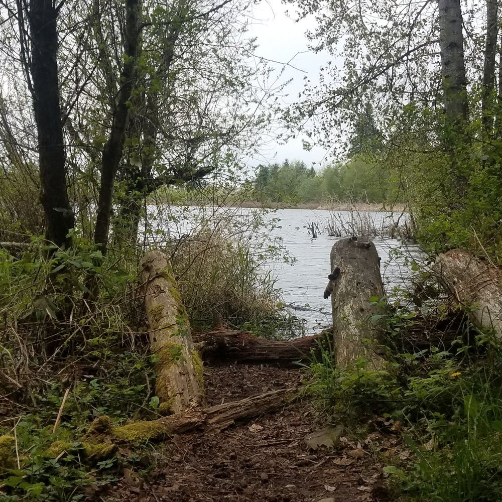 Clark Lake Park - 2019 All You Need to Know BEFORE You Go (with Photos ...