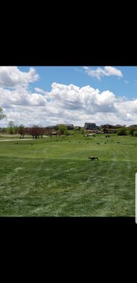 SPRING VALLEY GOLF CLUB - Updated June 2025 - 26 Reviews - 42350 County ...