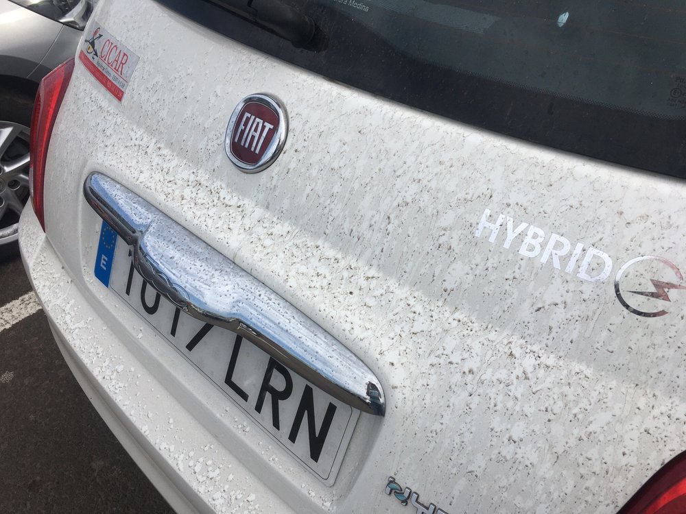 CICAR - Updated May 2025 - 23 Photos - Av. Familia de Betancourt y ...