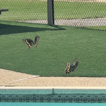 WOODSY HOLLOW CAMPGROUND - Updated February 2026 - 36 Photos - 248 ...