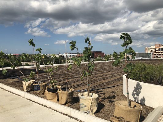 SKYLAWN ROOFTOP AT POST HTX - 61 Photos & 12 Reviews - Lounges - 401 ...