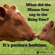 COLUMBUS FASTENERS - Updated August 2025 - 1050 Dearborn Dr, Columbus ...