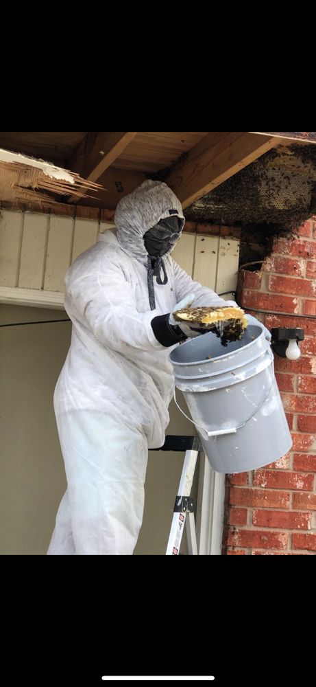 TOTAL ELIMINATION - Updated October 2025 - 131 Photos & 22 Reviews ...