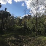 LITHIA SPRINGS PARK - 146 Photos & 45 Reviews - Parks - 3932 Lithia ...