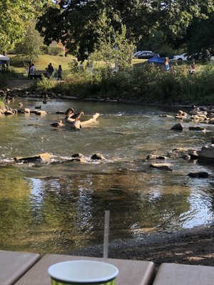 ROCHESTER PARK - Updated July 2025 - 27 Photos - 400 6th St, Rochester ...