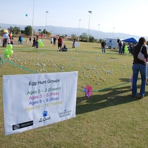 BERGER FOUNDATION ICEPLEX - Updated November 2024 - 75702 Varner Rd ...