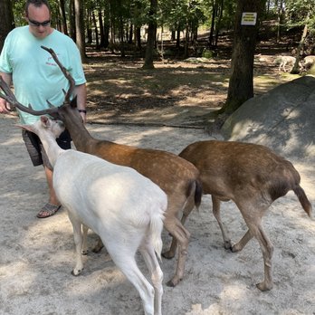 SOUTHWICK’S ZOO - Updated November 2024 - 583 Photos & 291 Reviews - 2 ...