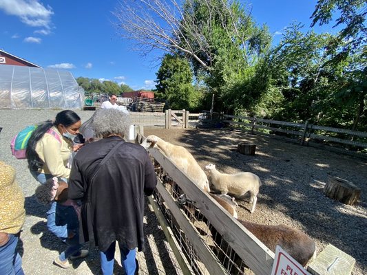 DEMAREST FARM - 705 Photos & 324 Reviews - 244 Wierimus Rd, Hillsdale ...