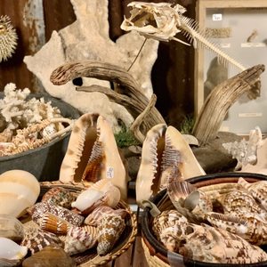 BLUE PRINT STORE - Updated October 2025 - 2707 Fairmount, Dallas, Texas ...