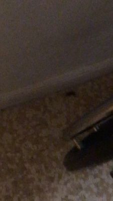 SPRING VALLEY POST ACUTE - Updated November 2025 - 13 Photos & 30 ...