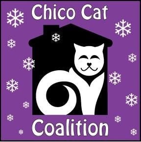CHICO CAT COALITION - Updated July 2025 - 11 Photos - Chico, California ...