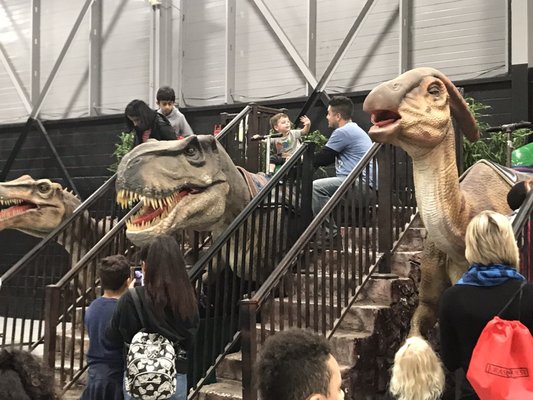 NEW JERSEY CONVENTION & EXPOSITION CENTER - 201 Photos & 34 Reviews ...