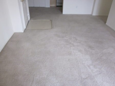 CARPET PRO - Updated July 2025 - 11 Photos & 10 Reviews - Reno, Nevada ...